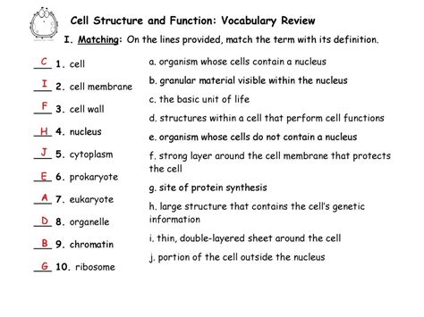 a organism whose cells contain a nucleus ppt download worksheets