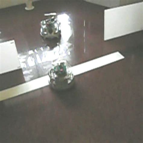 multi robot foraging experiments scenes download scientific diagram