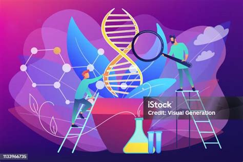 유전자 변형 식물 개념 벡터 일러스트입니다 작물에 대한 스톡 벡터 아트 및 기타 이미지 작물 Dna 개념 Istock