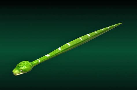 에메랄드 트리 보아 3d 모델 9 Max Obj Free3d