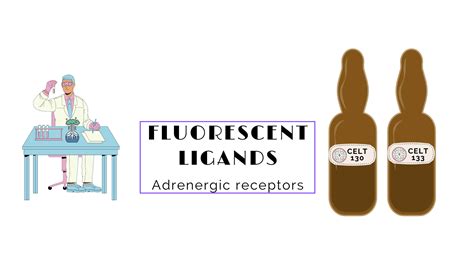 Fluorescent Ligand Adrenergic Receptor Celtarys
