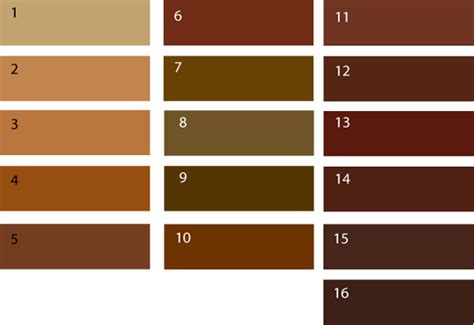 Теплый и холодный коричневый цвет | LOOKCOLOR