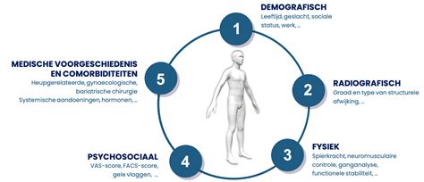 Modèle De Prédiction European Hip Center