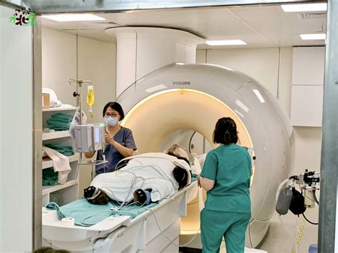 One Of Taiwans Giant Pandas Tuan Tuan Has Died At Age 18 After A Battle With A Serious Brain