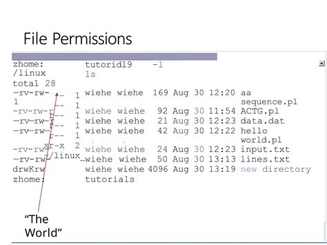 Linuxcommandsforbeginnerspowerpointpresentationpptx