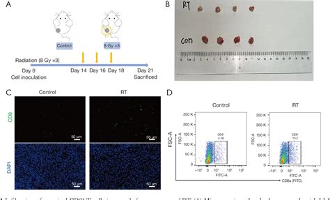 Figure 1 From Targeting Complement C5a To Improve Radiotherapy