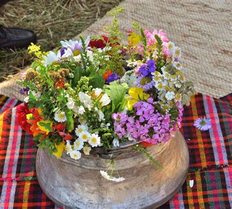 Животът с Народна медицина Народната медицина напомням отново не лекува само с билки А със