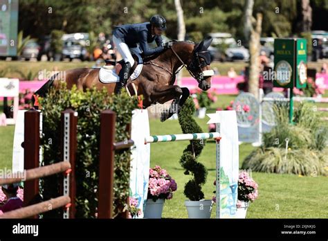 pedro junqueira muylaert of brazil with quax 76 during the csi5 prix