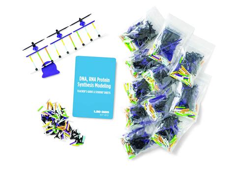 Buy Rna Protein Synthesis Modeling Kit 72 Demystify The Rna Connection In Protein Synthesis
