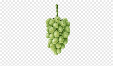 Green Fruits Illustration Png Pngegg