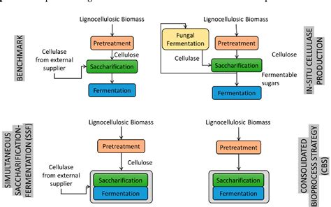 Figure 3 From Bioreactor And Bioprocess Design Issues In Enzymatic