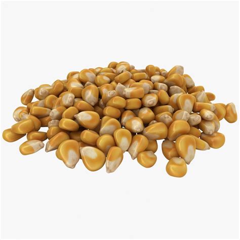 Corn Kernel 3d Model 19 Max Fbx Obj Free3d