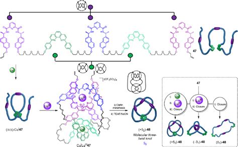 Synthesis Of A Molecular 5 2 Three Twist Knot Via Stepwise Folding Download Scientific Diagram