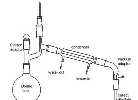 Ethanol Fermentation Equation