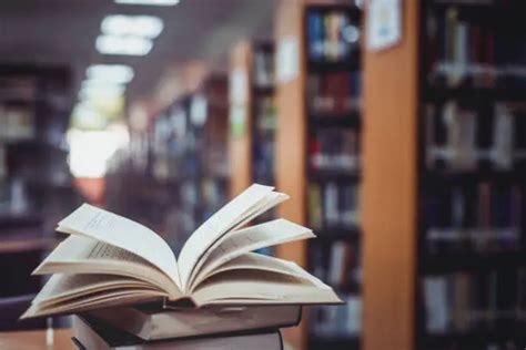 최고의 500 라이브러리 사진 Hd Unsplash에서 무료 이미지 다운로드