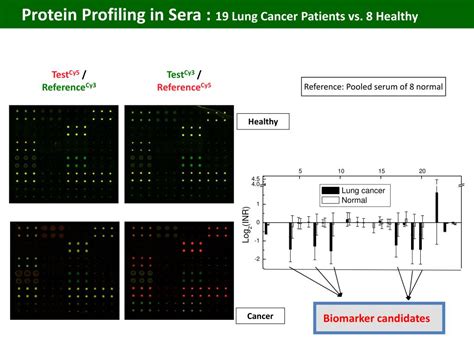 Ppt Protein Microarray Protein Chip Powerpoint Presentation Free