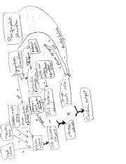 Cardiac Output Flowchart Course Hero