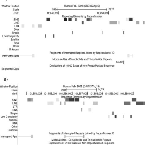 Graphical Representation Of The Repetitive Elements As Shown 40 Of Download Scientific