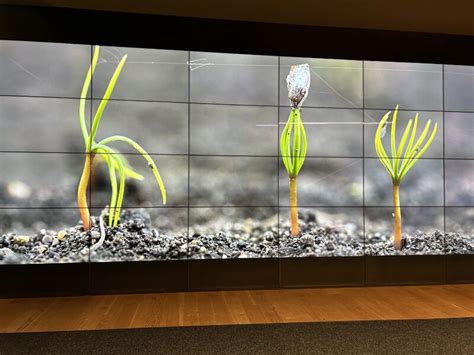 Prabakar Paulsami On Linkedin Hi Tatiana Cass Cpp Phr Shrm Cp Gba Hi Bridgett Hi Tara Hi