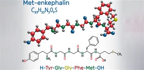 The Ultimate Bioluminescence Quiz Attempts 250 Trivia And Questions