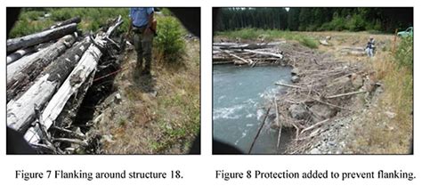 Performance Of Engineered Log Jams In Wa Friends Of The East Fork