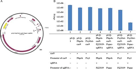 Figure 1 From Crispr Cas9 Based Efficient Genome Editing In Staphylococcus Aureus Semantic Scholar