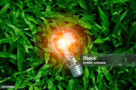 푸른 잔디 자연에 전구 환경 친화적 인 에너지 혁신 기술 에코 에너지 개념 재생 가능 전구 에너지원 혁신 영감이 있는 개념 혁신적인 아이디어 0명에 대한 스톡 사진 및 기타