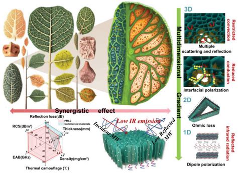 Liquid Metal Mxene Based Hierarchical Aerogel Enables Infrared And Radar Invisibility