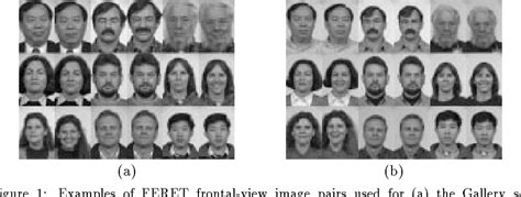 Figure 1 From Bayesian Modeling Of Facial Similarity Semantic Scholar