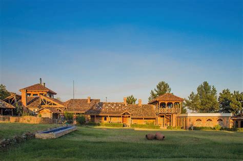 Badiauri Complex • ბადიაური კომპლექსი