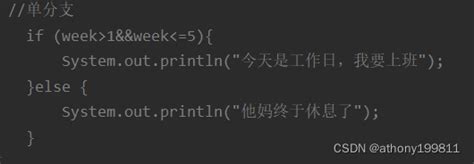 If之单分支与多分枝if单分支 Csdn博客