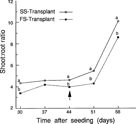 Shoot Root Ratio Increase Of Tomato Transplants Before And After Download Scientific Diagram