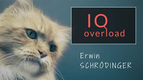 5 Iq Overload Erwin Schrödinger