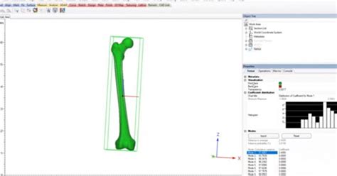Tutorial How To Interpret Statistical Shape Model Ssm