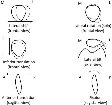 table 1 1 from development and validation of a kinematically driven