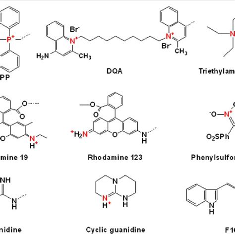 Examples Of Mitochondria Targeting Chemicals Download Scientific Diagram