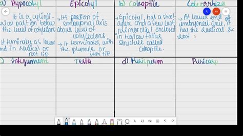 Solveddifferentiate Between A Hypocotyl And Epicotyl B