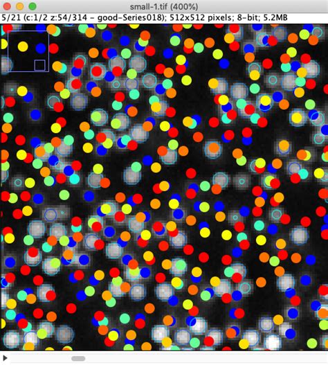 Trackmate Particle Centroids For One Time Step Xyz Image Analysis Imagesc Forum