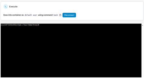 Run Commands In Container Websoft9