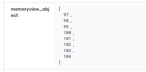 Segmentation Fault When Serializing A Memoryview Freed In The