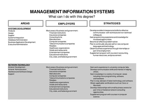 Management Information Systems MANAGEMENT INFORMATION SYSTEMS What Can I Do With This Degree