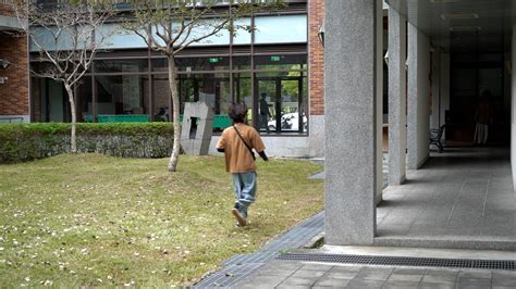 A Stupid Project Instance Segmentation Dataset And Pre Trained Model By A Stupid Project