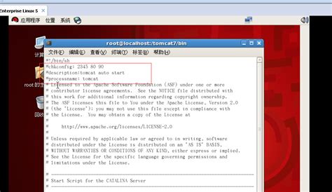 linux下设置tomcat自启动 csdn博客