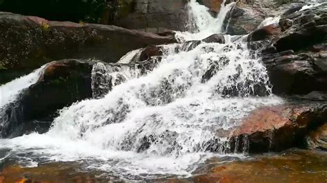 කන්නෙලිය රක්ෂිතය Youtube