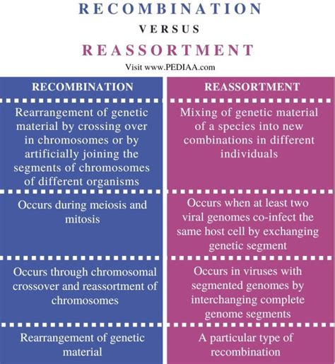 What Is The Difference Between Recombination And Reassortment Pediaa Com