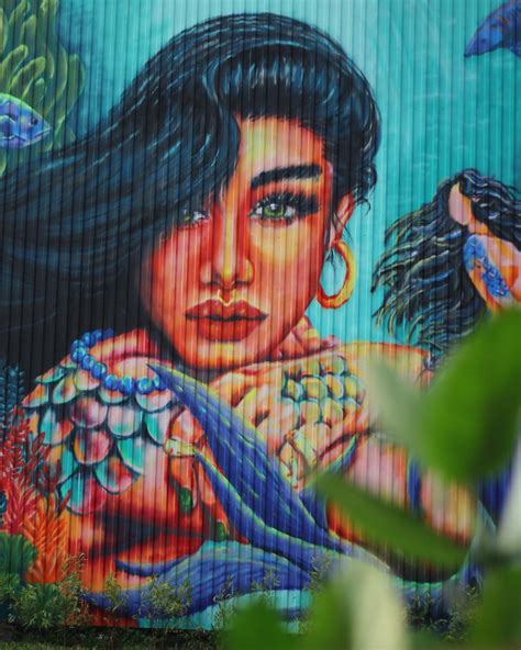 Chipply2 • Instagram Photos And Videos