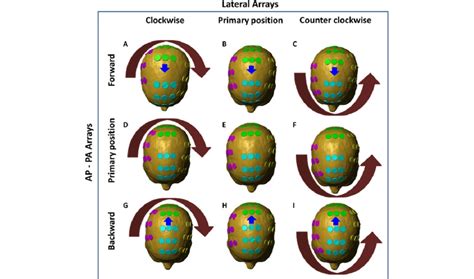 Array Displacement For Disposition Analysis The Original Array