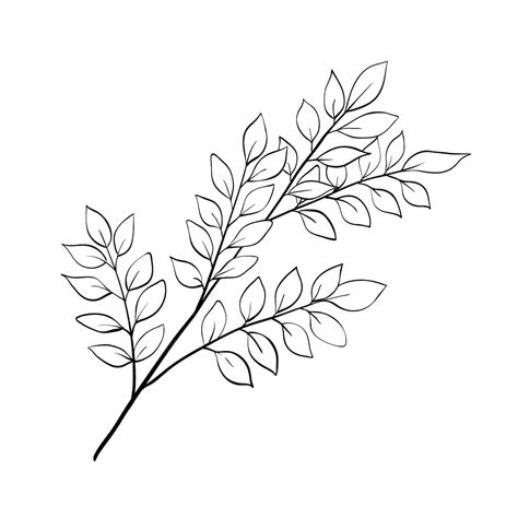 Premium Vector Tree Branch Outline Floral Sketch Isolated Vector
