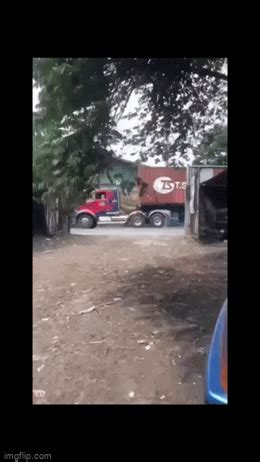 TRANS PERSON Imgflip