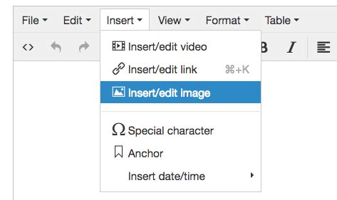 How Do I Upload An Image In Html Using Tinymce Help Files